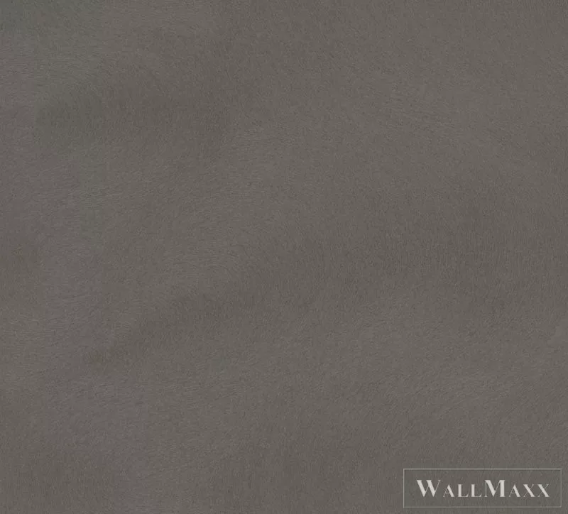 53321 - Wallmaxx Tapéta Webáruház